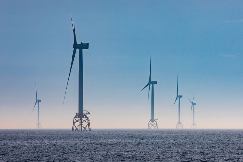 ScotWind leasing results | Forth and Tay Offshore